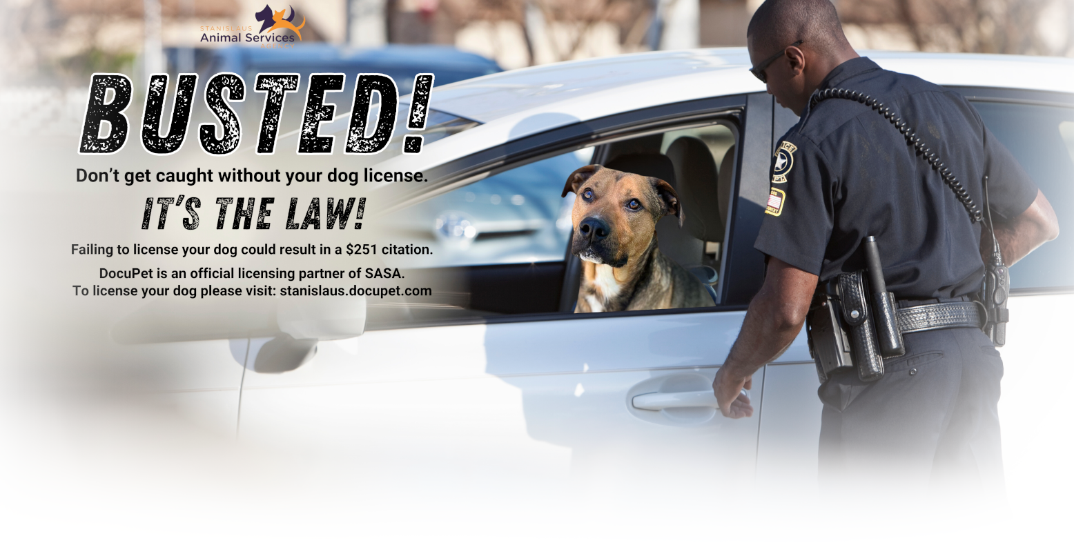 License Your Dog - Stanislaus County